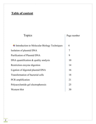 Report on molecular biology techniques | PDF | Biological Sciences ...