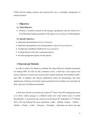 Report on ndf_cycas_thouarsii_final | PDF