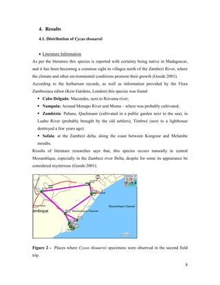 Report on ndf_cycas_thouarsii_final | PDF
