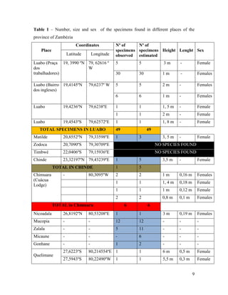 Report on ndf_cycas_thouarsii_final | PDF