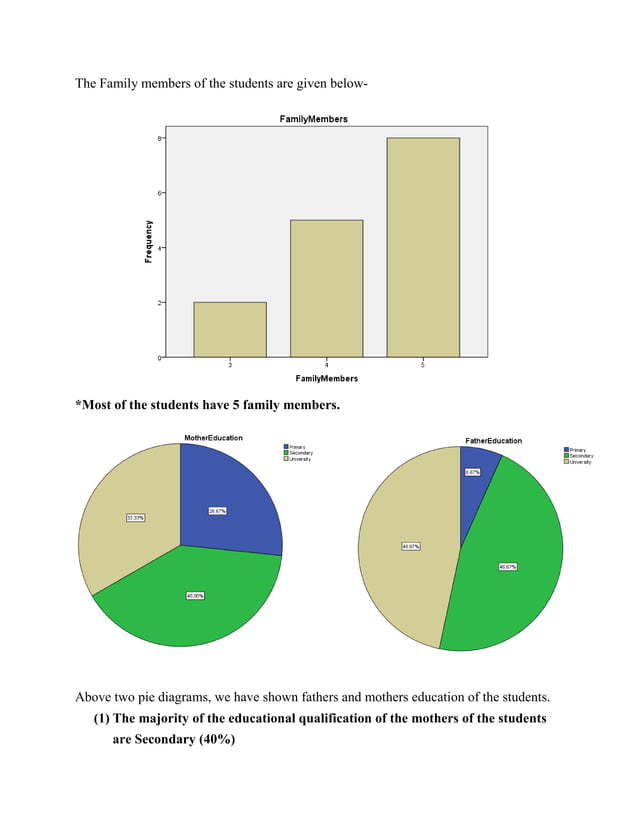 Report on students' socio-economic background | PDF