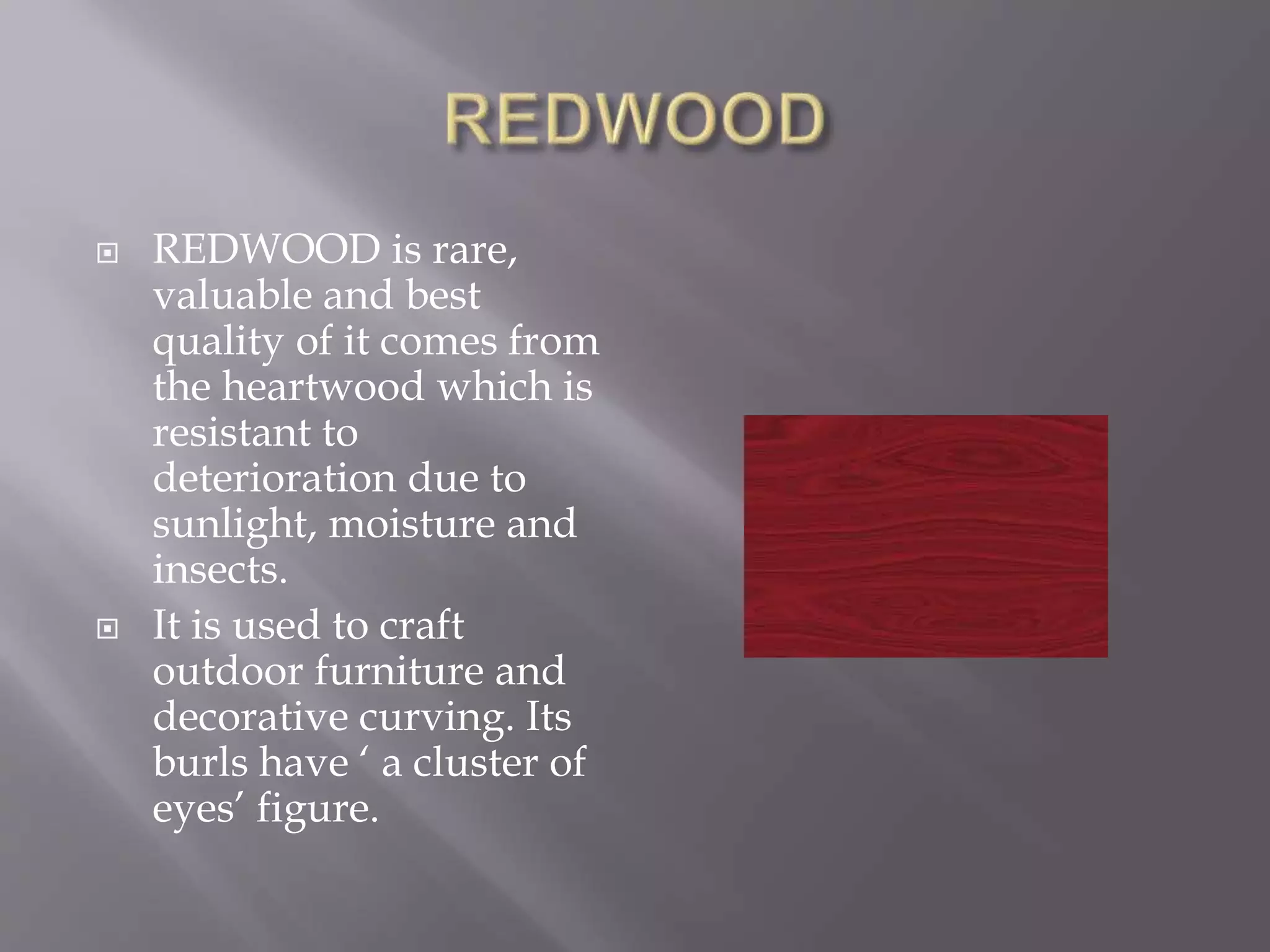 Report on wood and timber | PPTX