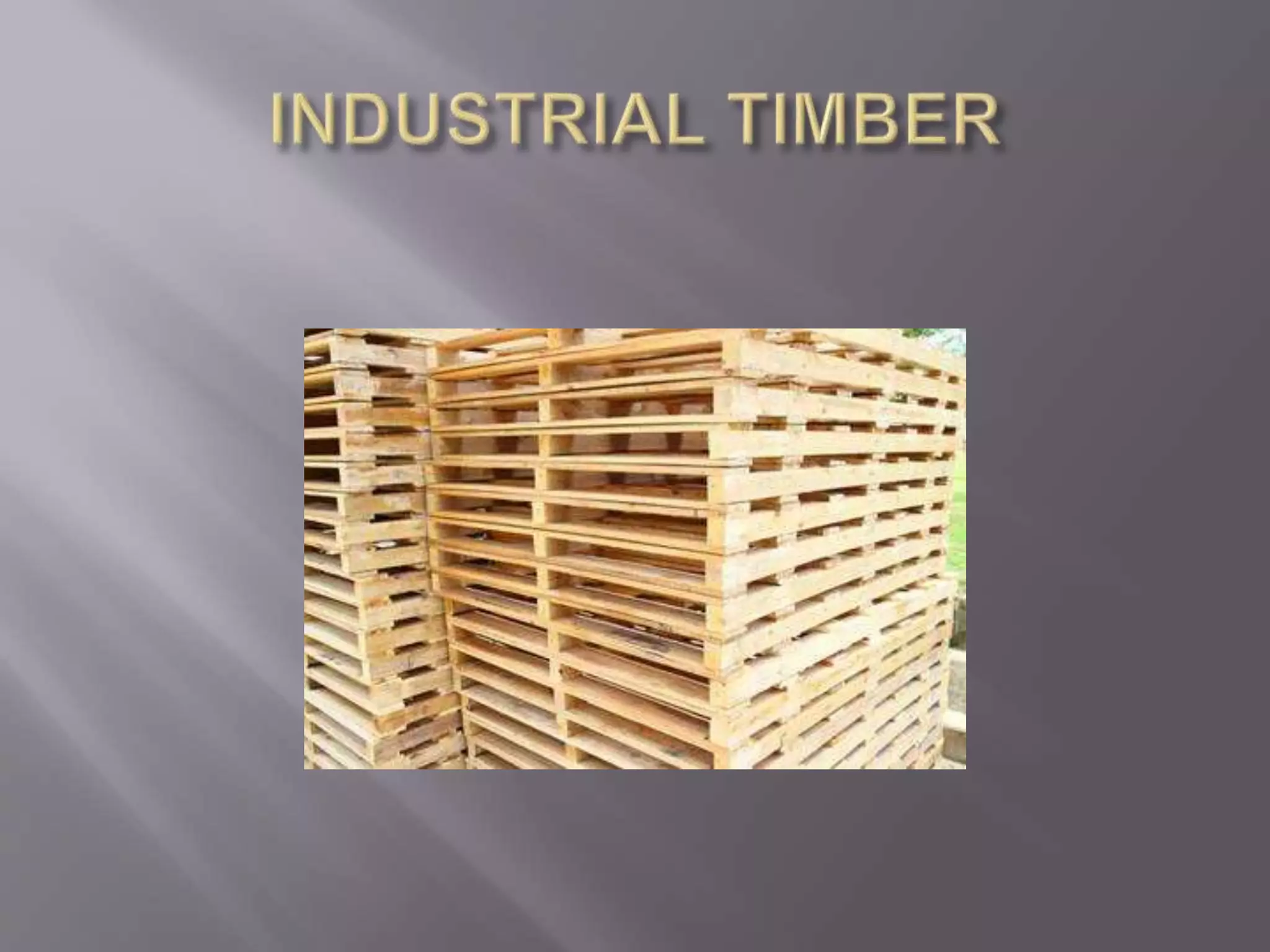 Report on wood and timber | PPTX