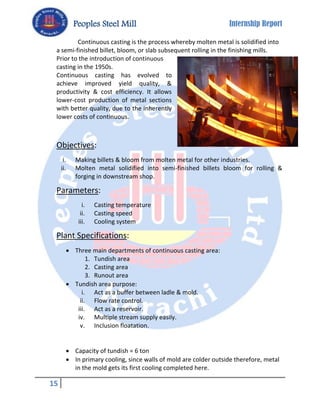 Report of Pakistan Steel Mill | PDF