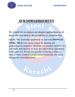 Report of Pakistan Steel Mill | PDF