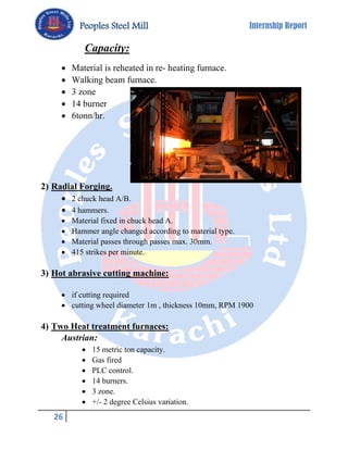 Report of Pakistan Steel Mill | PDF