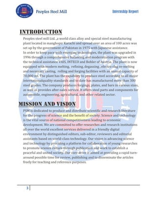 Report of Pakistan Steel Mill | PDF