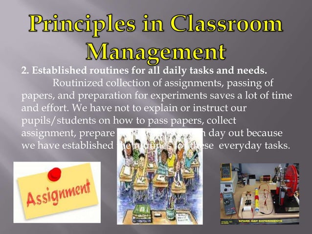 Report principles in teaching | PPT