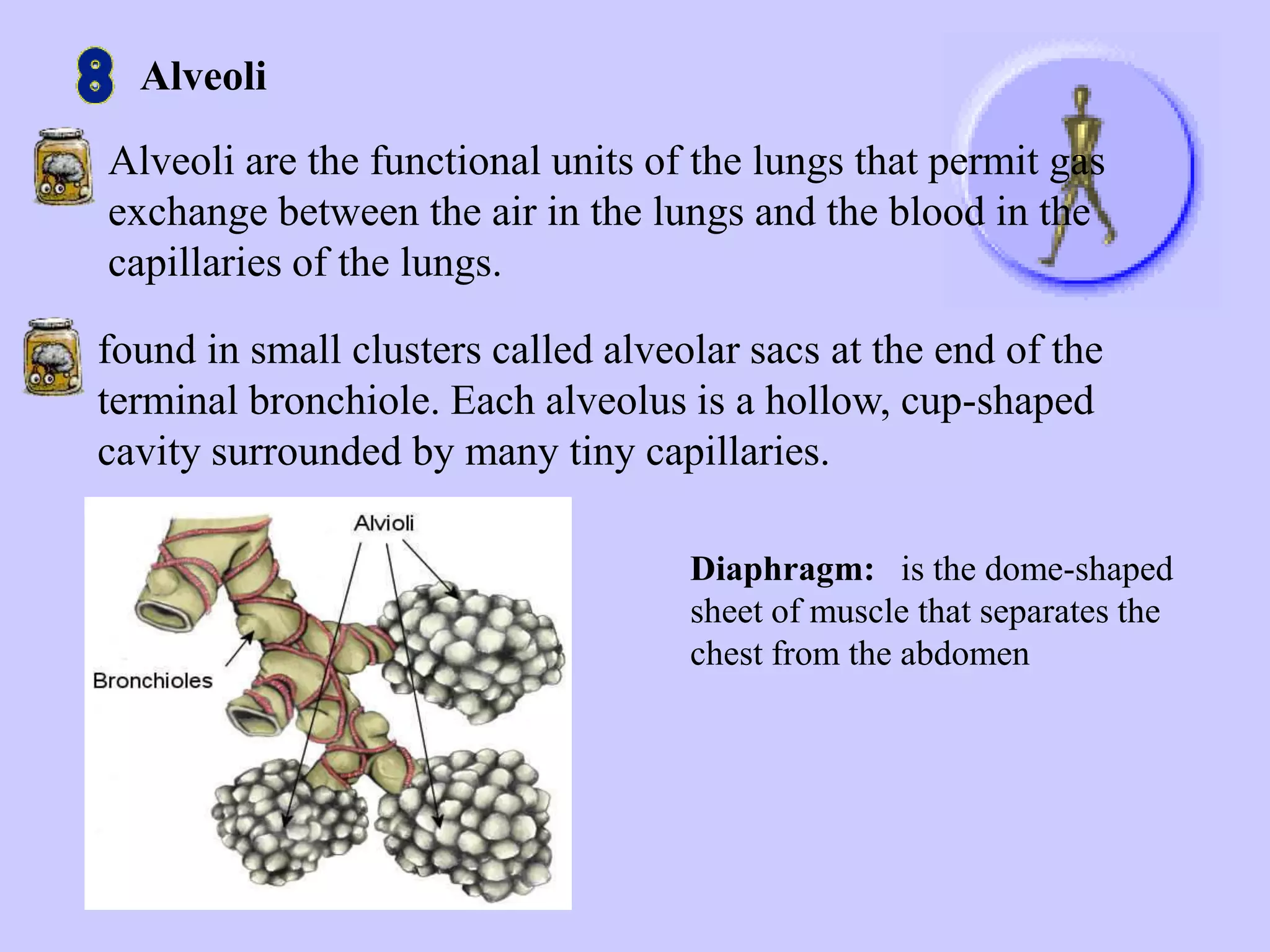 Report in Respiratory System | PPTX