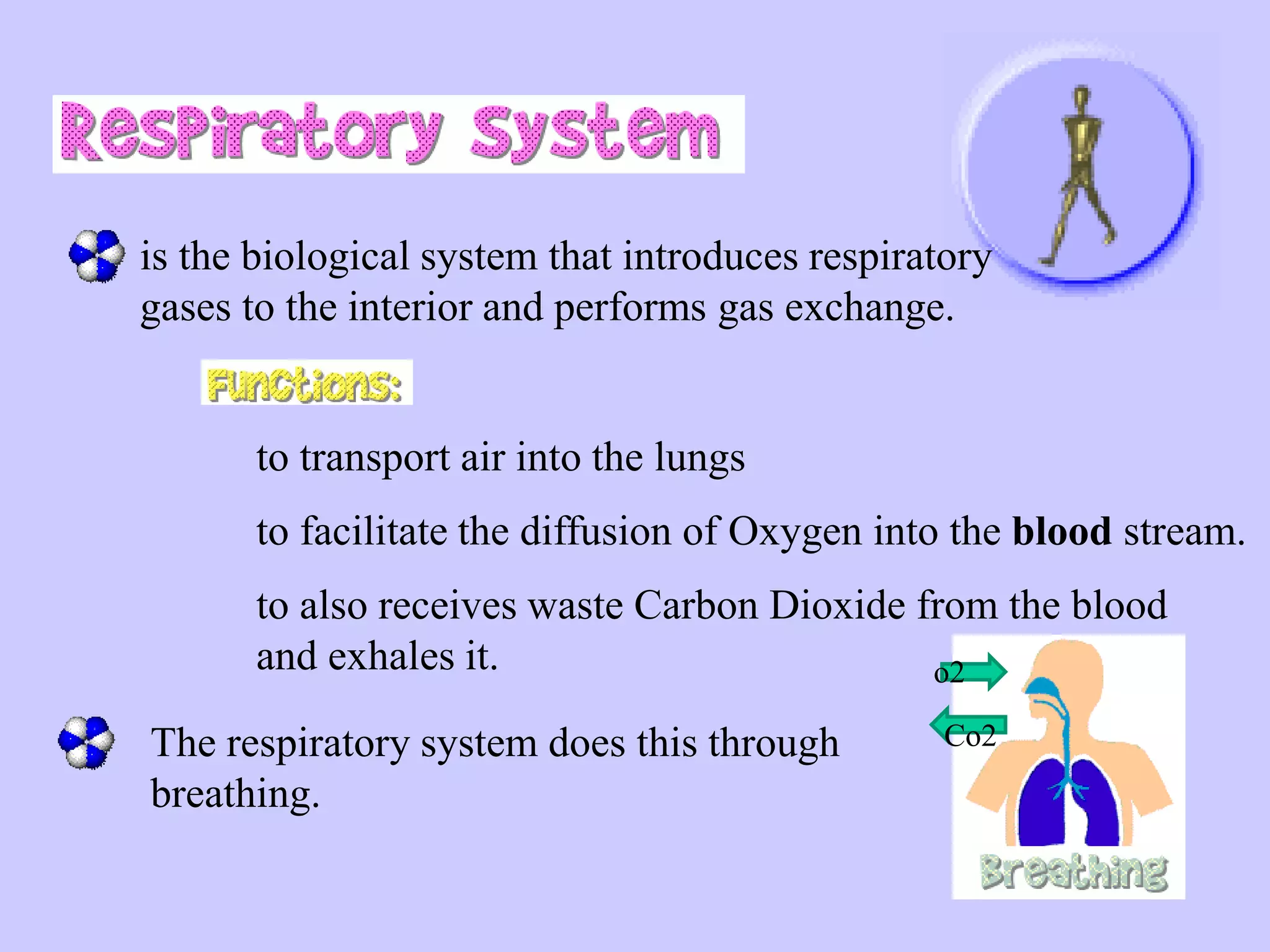 Report in Respiratory System | PPTX