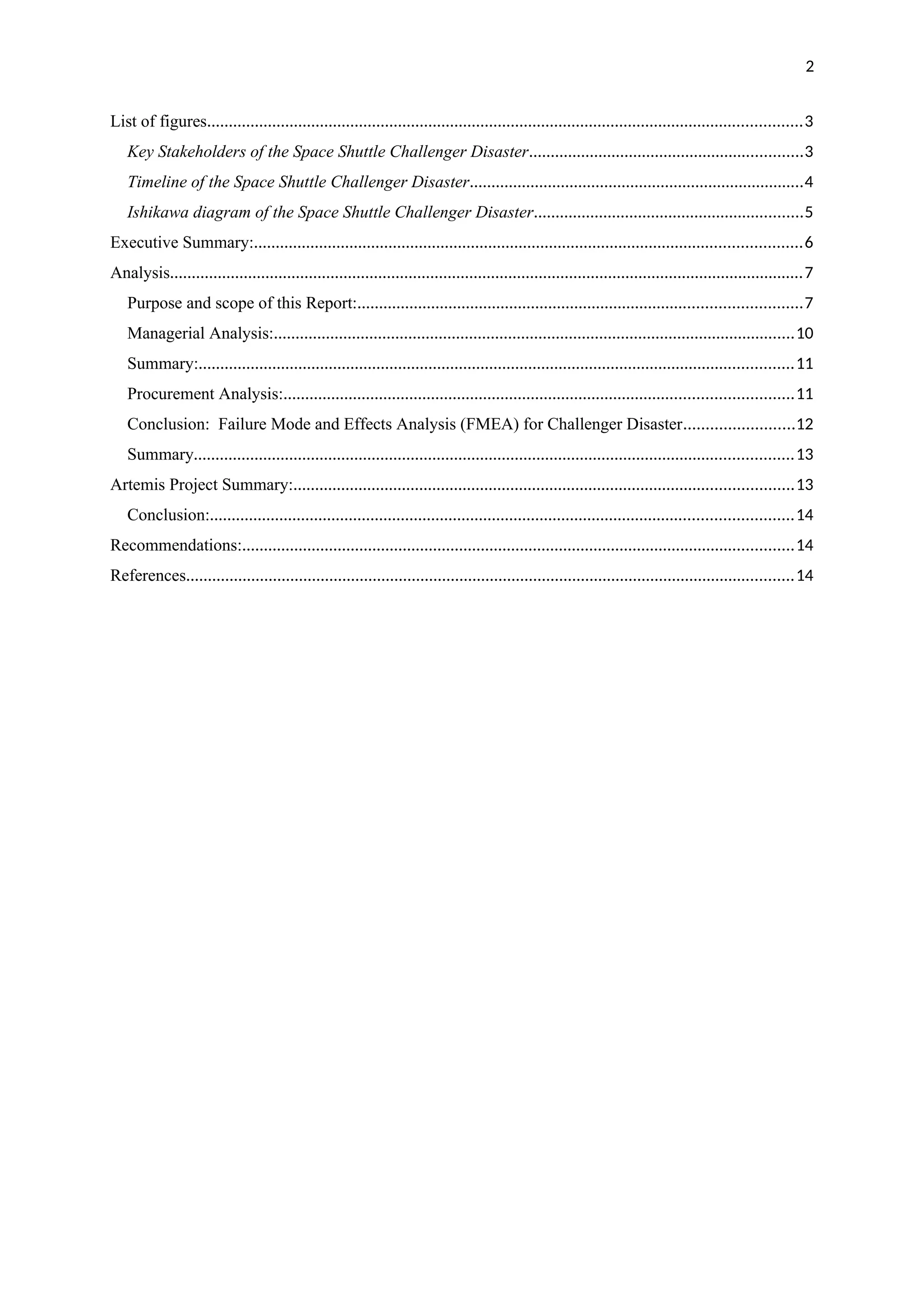 Risk Management Analysis of the Space Shuttle Challenger Disaster | DOCX