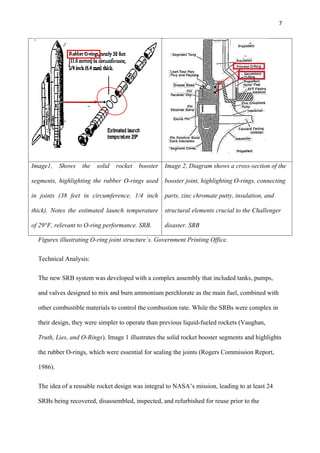 Risk Management Analysis of the Space Shuttle Challenger Disaster | DOCX