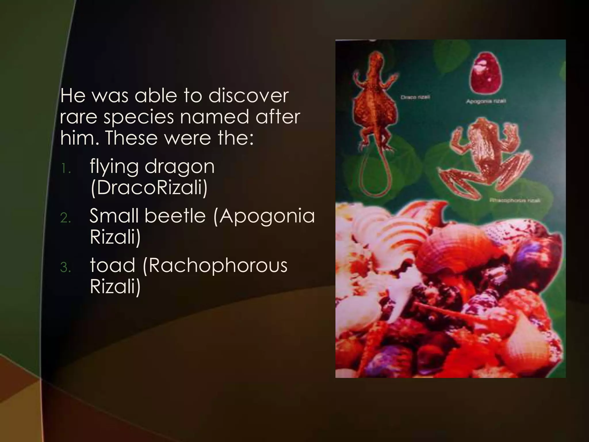 Rizal's Life in Dapitan | PPTX