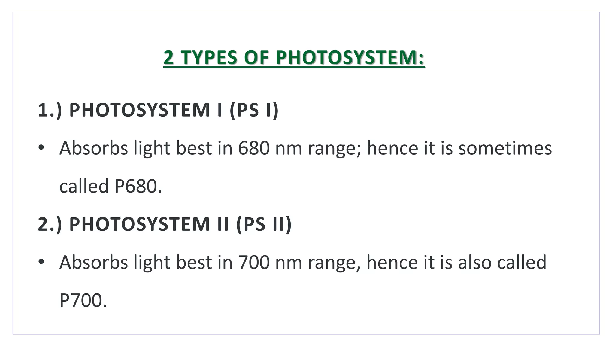 EARTH AND LIFE SCIENCE CHAPTER 6 BIOENERGETICS | PPTX