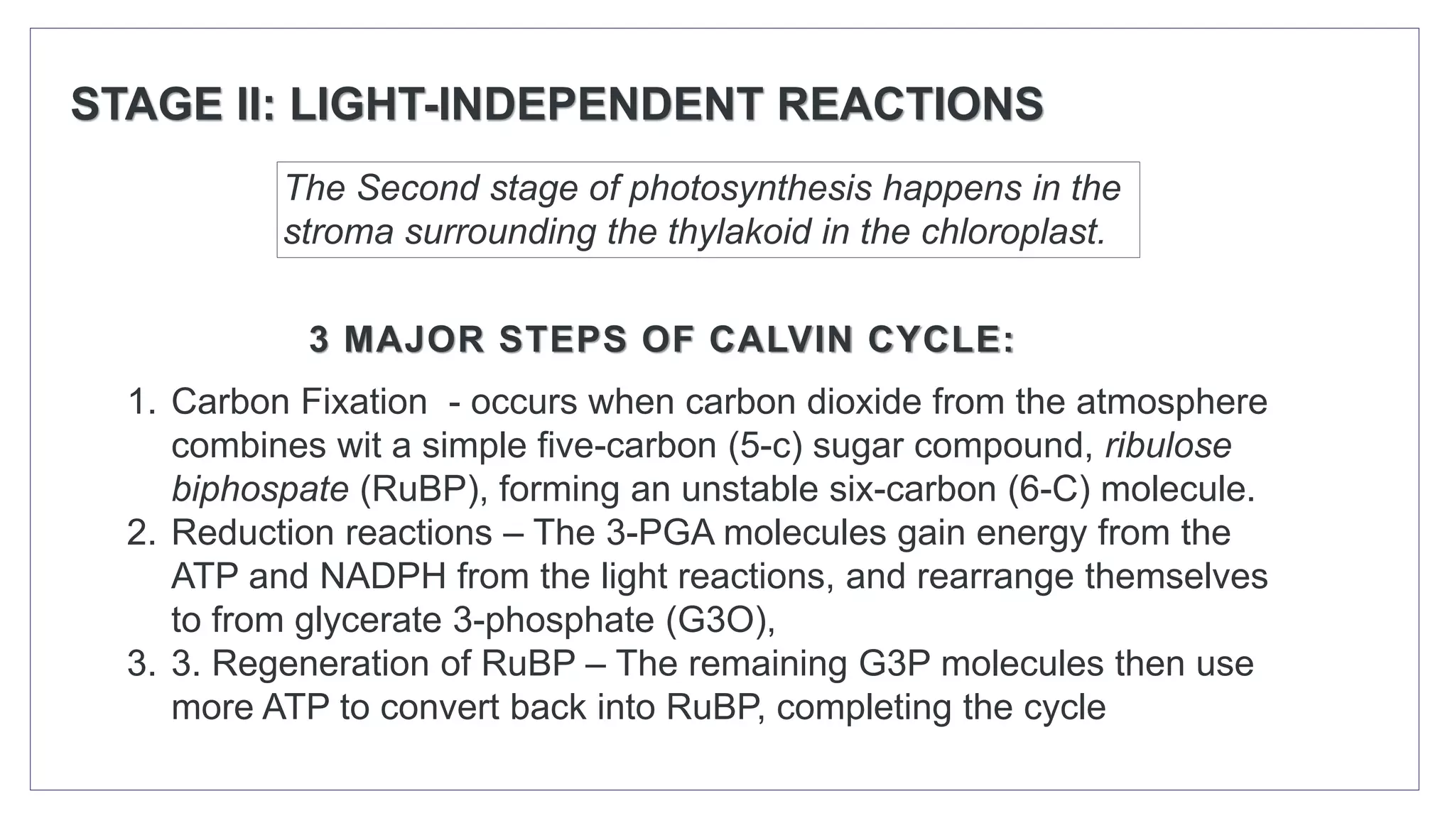 EARTH AND LIFE SCIENCE CHAPTER 6 BIOENERGETICS | PPTX