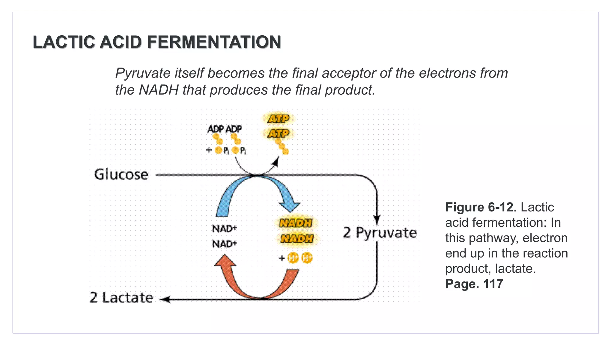 EARTH AND LIFE SCIENCE CHAPTER 6 BIOENERGETICS | PPTX