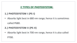 EARTH AND LIFE SCIENCE CHAPTER 6 BIOENERGETICS | PPTX