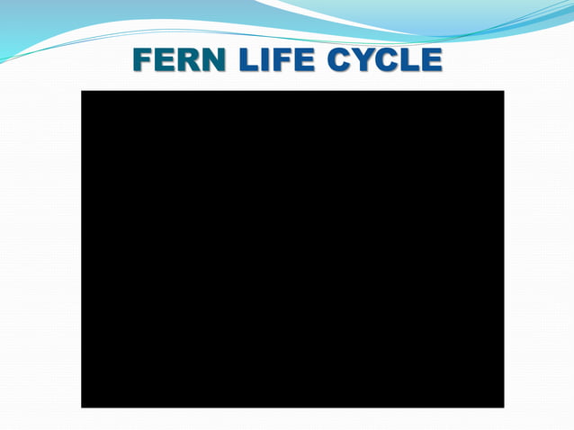 Science (ferns & mosses) | PPT