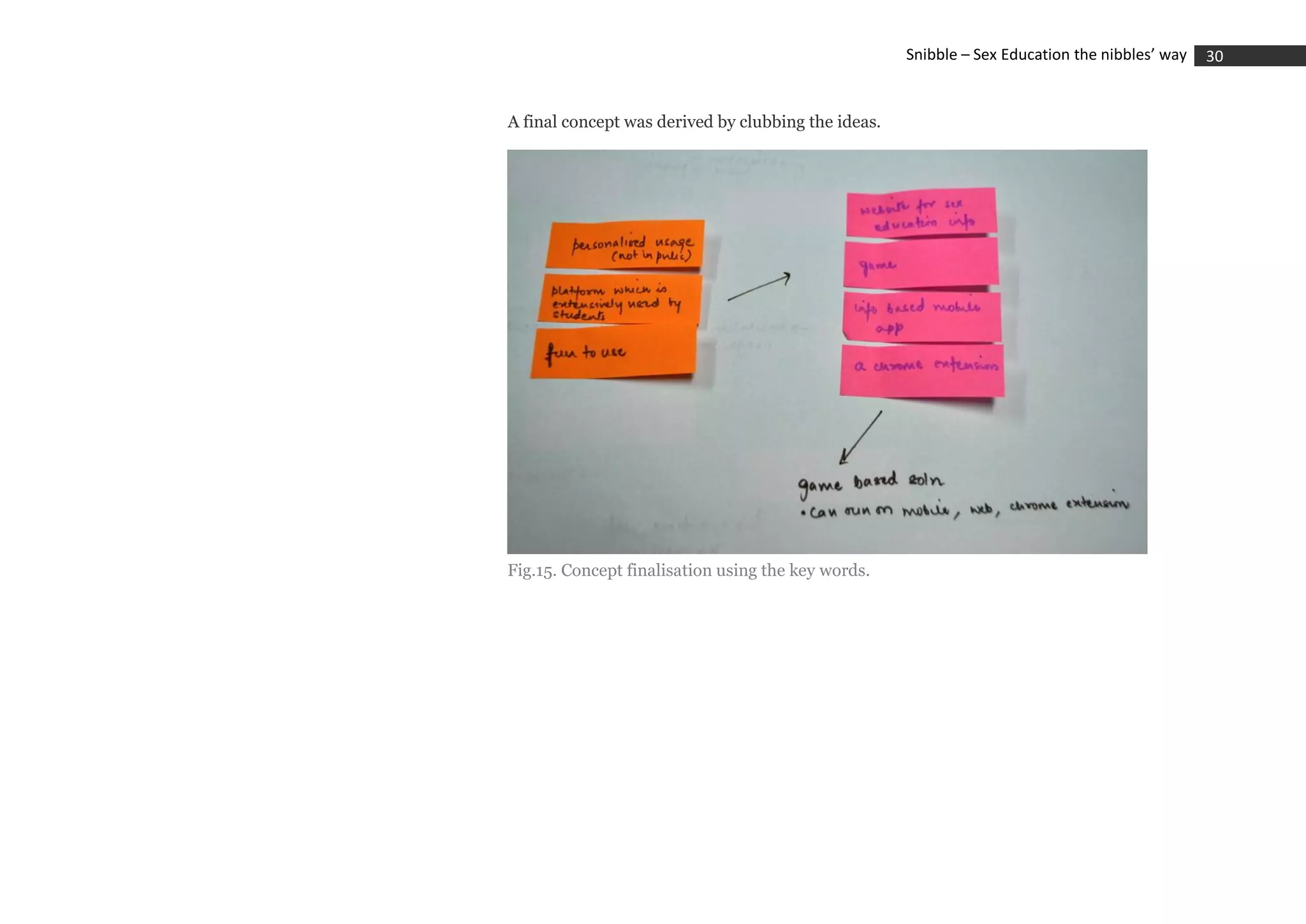 Snibbles - Project Report | PPT