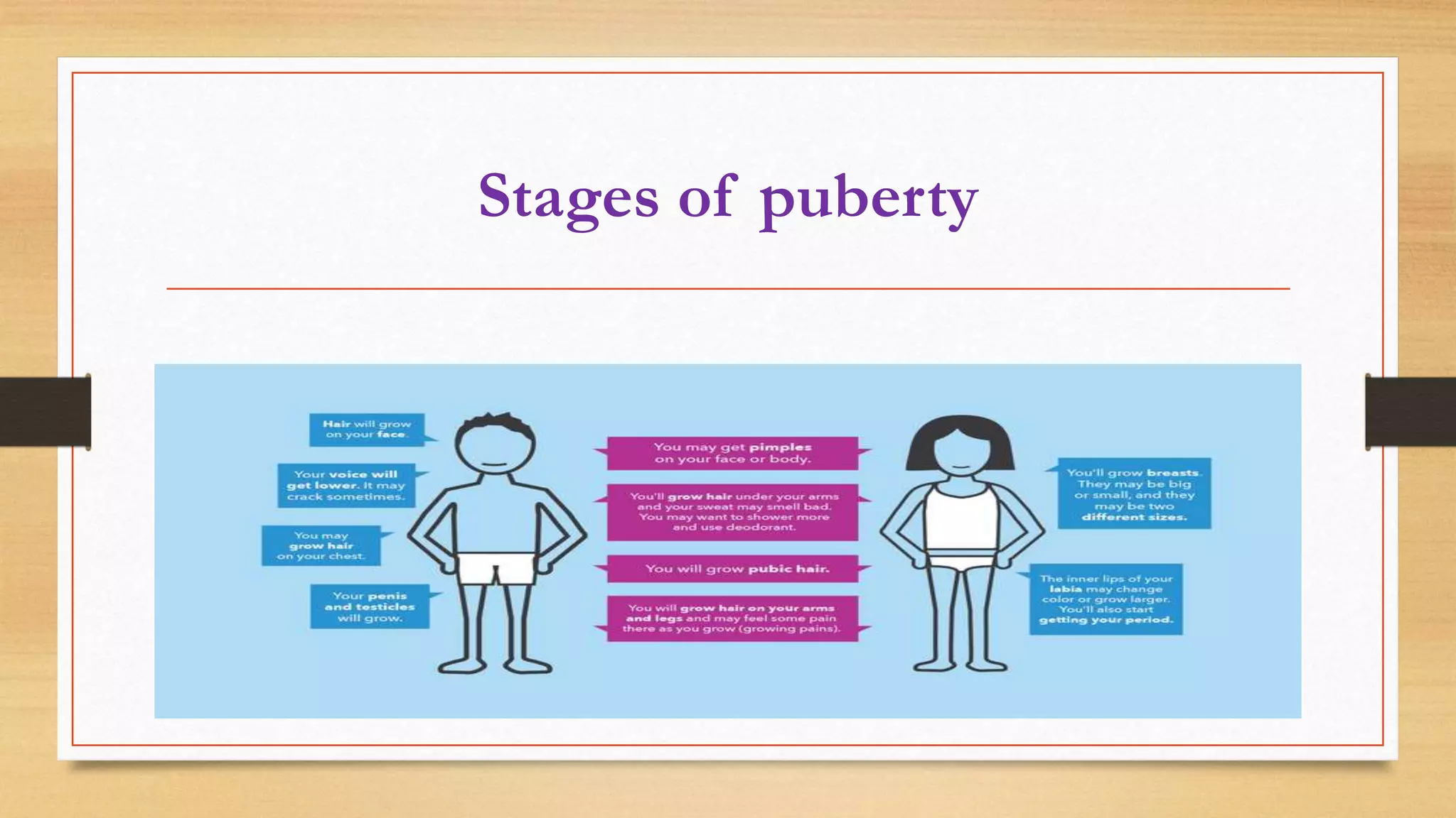 Report stages of puberty | PPTX