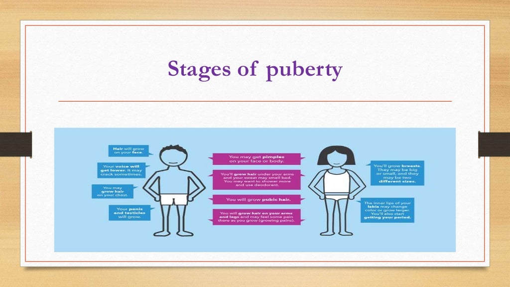 Report stages of puberty
