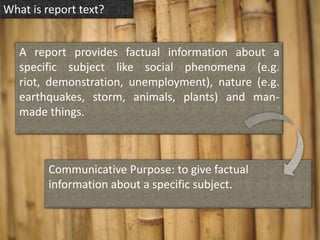 Report text | PPT