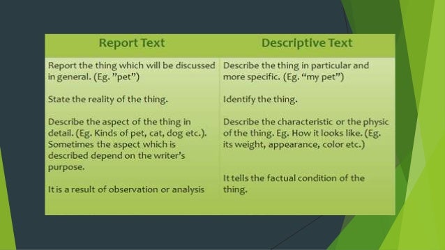 Report Text report-text