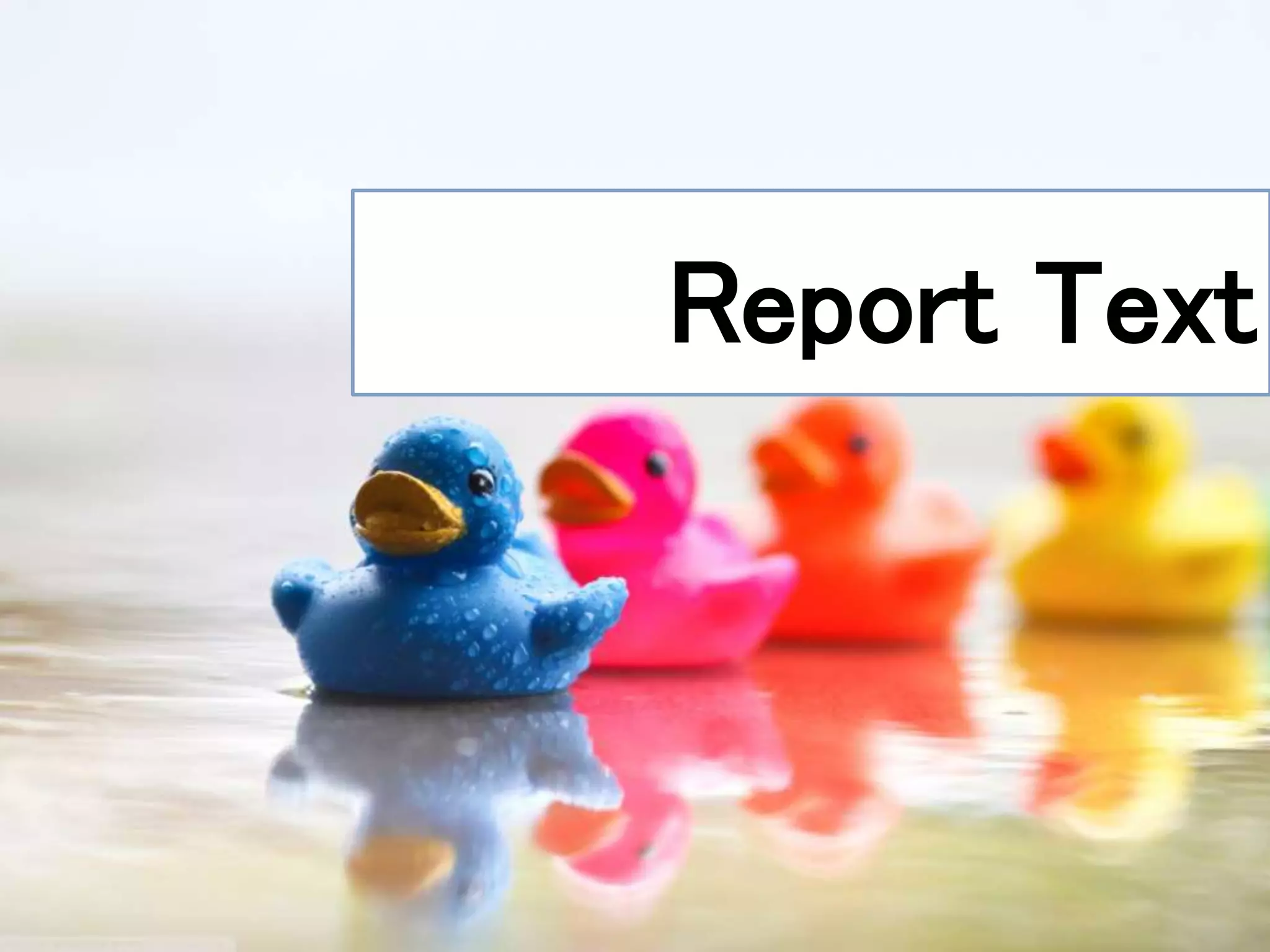 Report Text | PPT