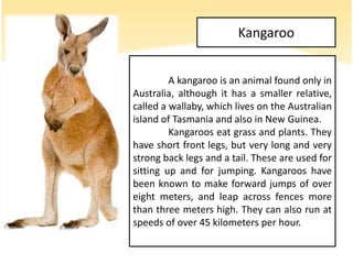 REPORT TEXT for grade 11 High School | PPTX