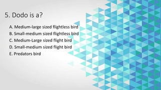 Report text in English | PPTX
