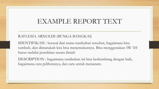 REPORT TEXT.pptx