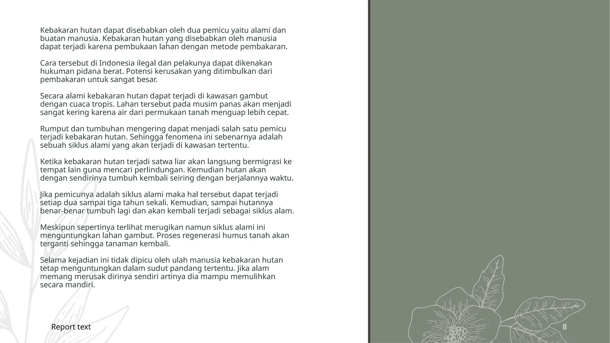 Report Text.bahasa inggris power point ppt | PPTX