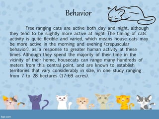 Report text "CAT" | PPTX