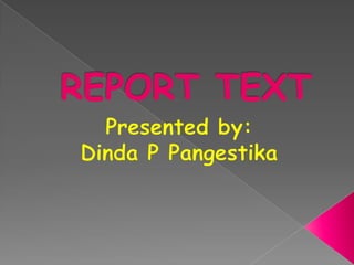 Report text dinda 9 d | PPSX