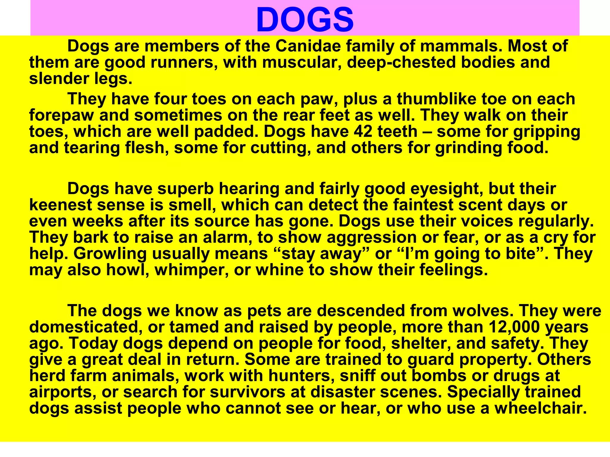 Report text (complete explanation) | PPT