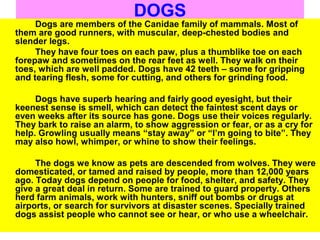 Report text (complete explanation) | PPT