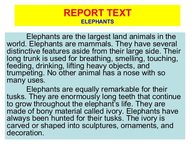 Report text (complete explanation)