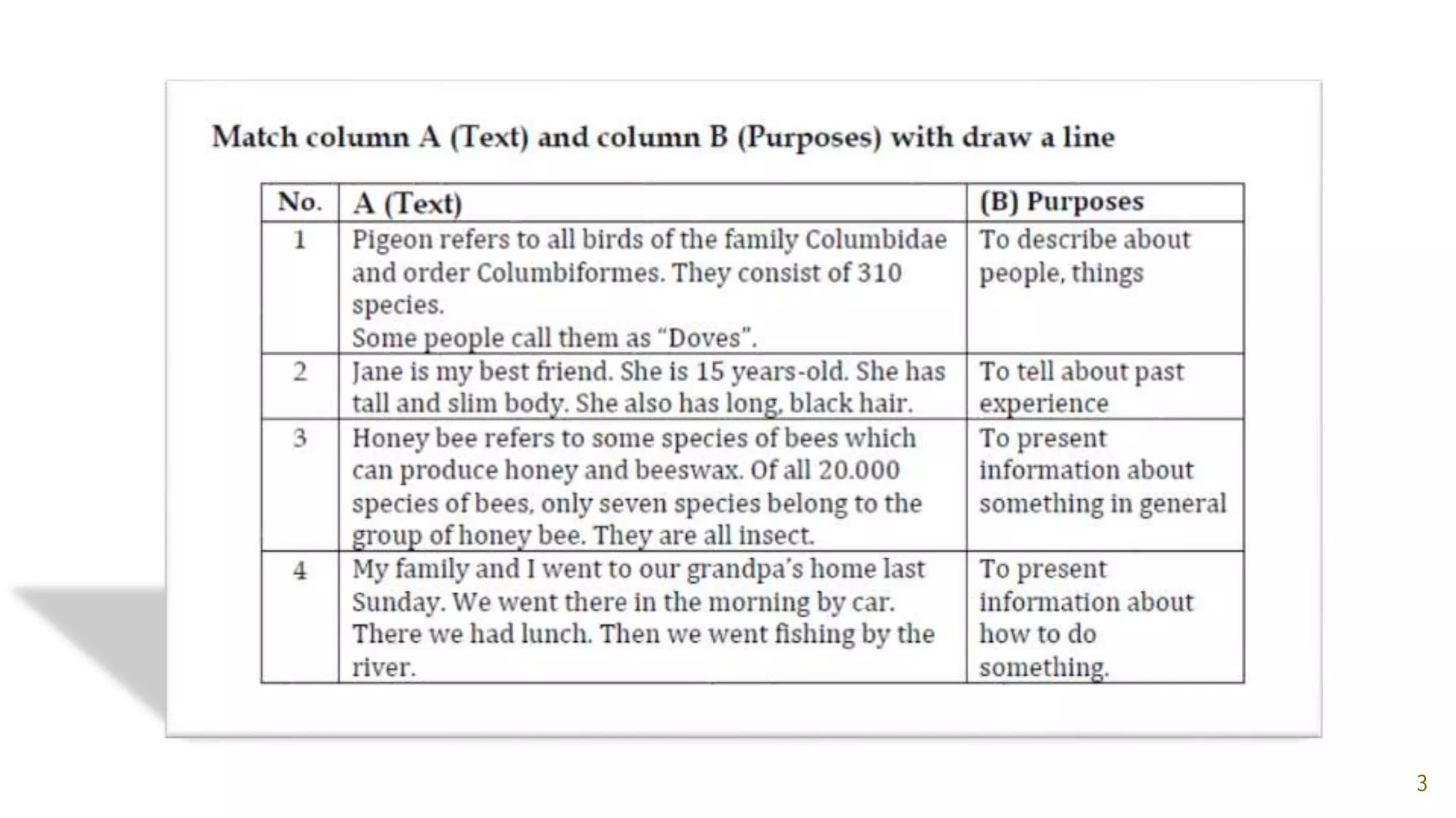 Report Text | PPT