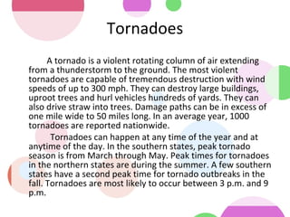 Report text ppt | PPT