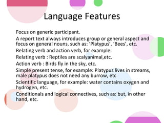 Report text ppt | PPT