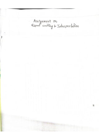 Assignment on Report writing and Interpretation | PDF