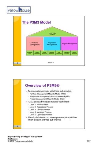 Repositioning The Project Management Profession 2 2 | PDF