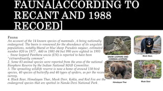 Nanda Devi National Park Animals