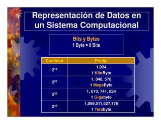 Representacion de datos en un sistema computacional | PDF
