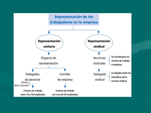 Representacion trabajadores | PPT