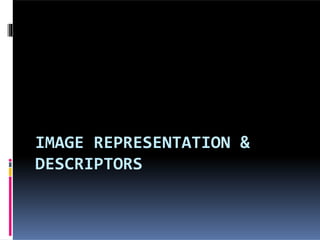 representation.pptx | 3-D Graphics | Computer Software and Applications