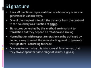 Image Representation & Descriptors | PPTX
