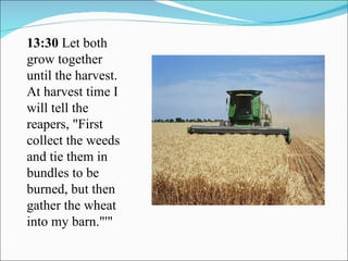 Representation The Parable Of The Weeds And The Wheat | PPT