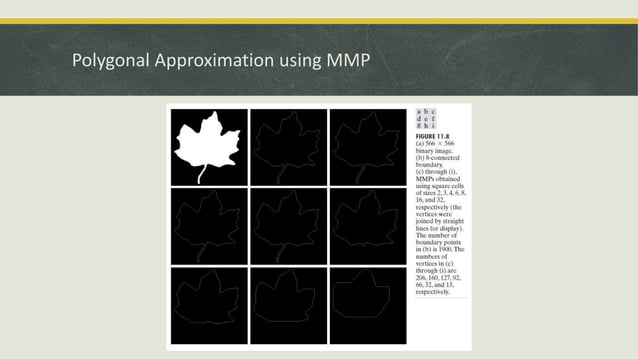 Representation Description_computer_enginering.pptx
