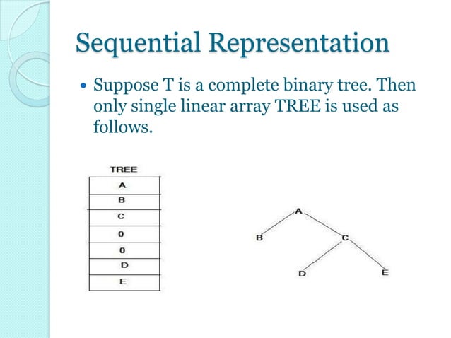 Representation Of Binary Tree In Memory Pptx Programming Languages